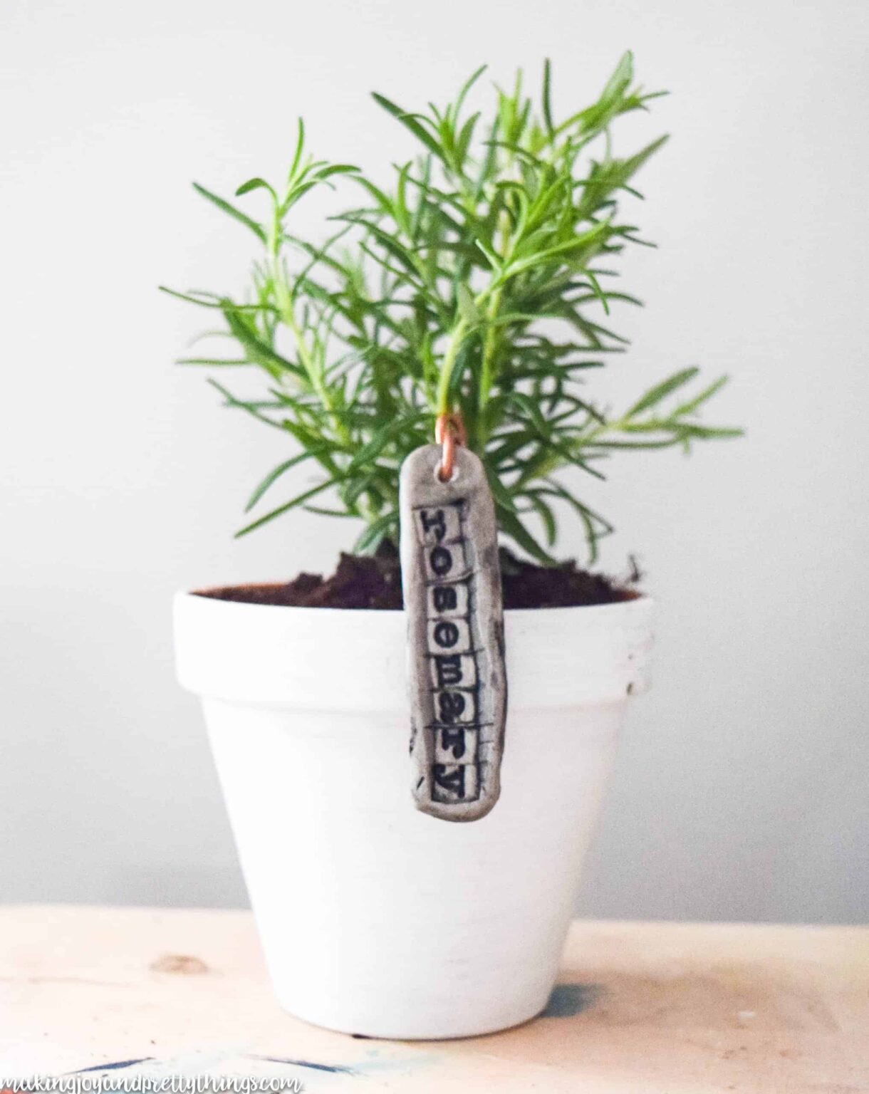 DIY Plant Labels - Making Joy and Pretty Things